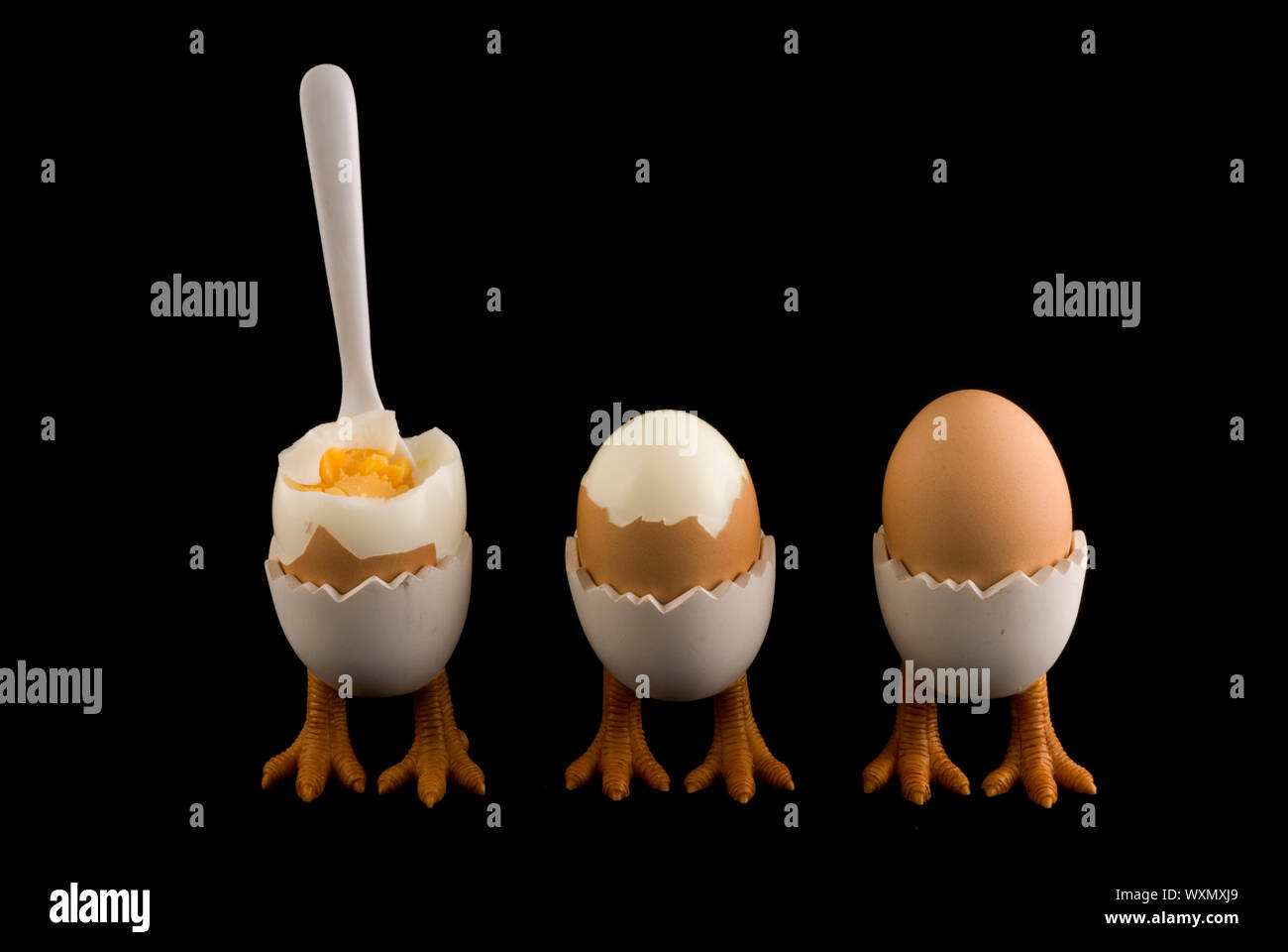 bird-feet with eggs to eat Stock Photo - Alamy