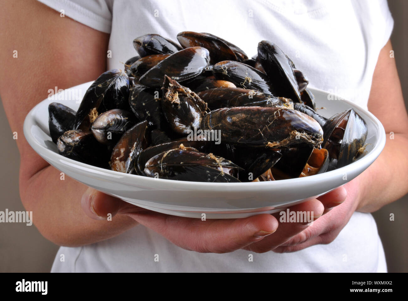 cooked and opened organic mussel ready to eat Stock Photo - Alamy