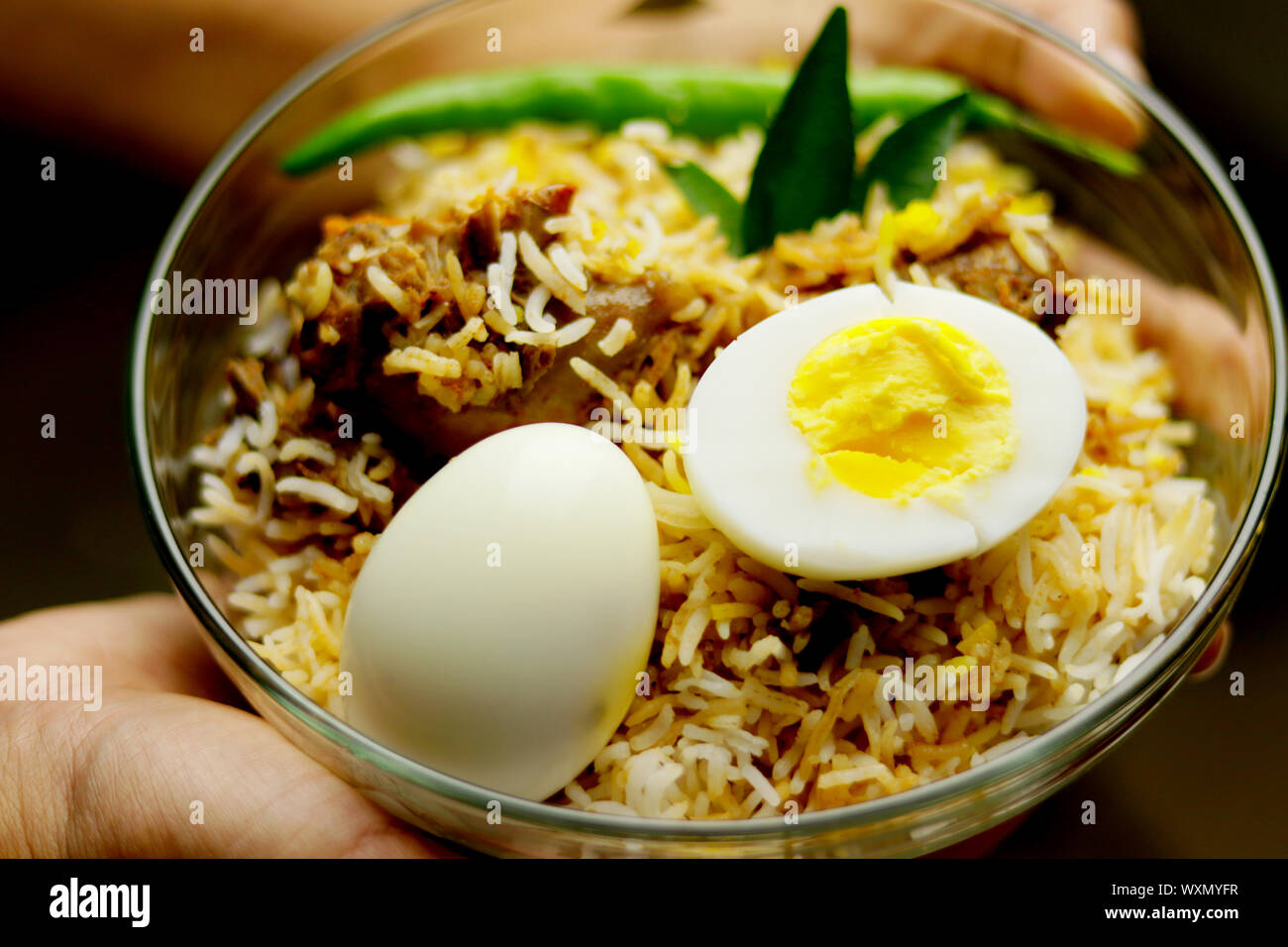 Delicious chicken biriyani Stock Photo - Alamy