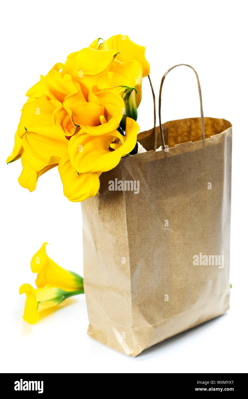 Calla lilies garden Cut Out Stock Images & Pictures - Alamy