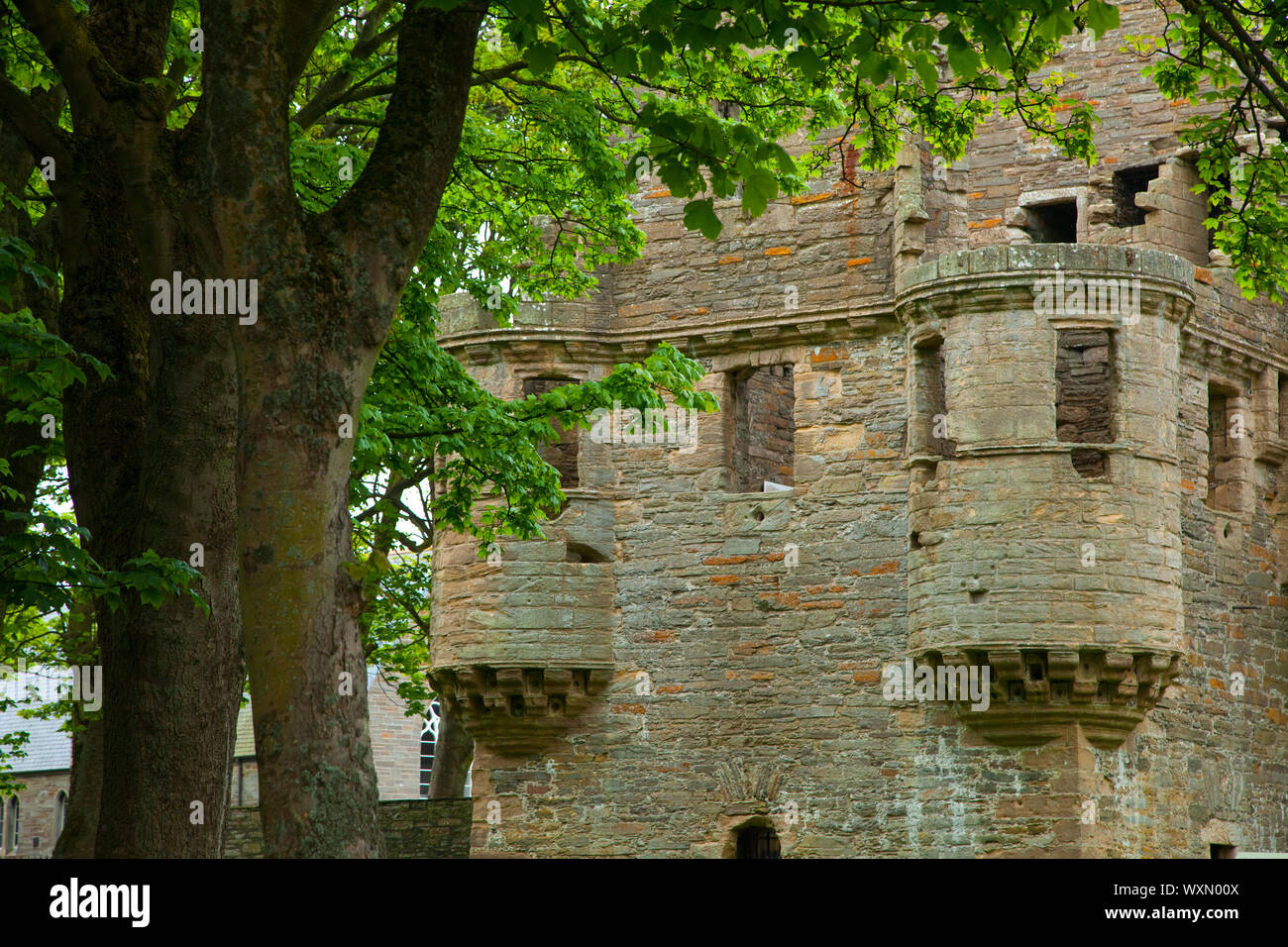 Castillo de Kirkwall, Mainland. Islas Orkney. Escocia.UK Stock Photo ...