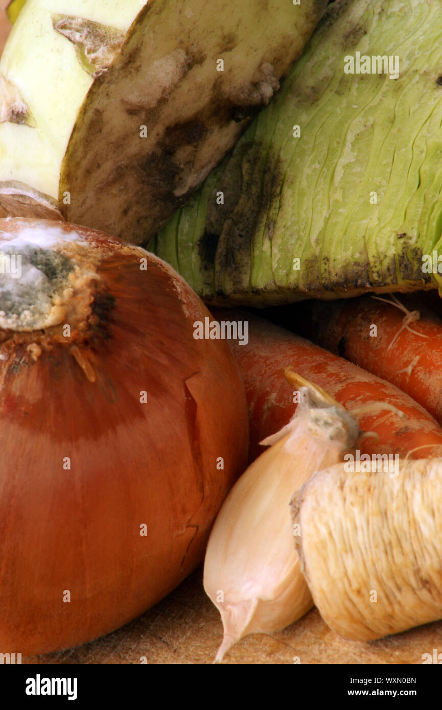 mouldy organic vegetable unhealthy to eat on a timber board Stock Photo ...