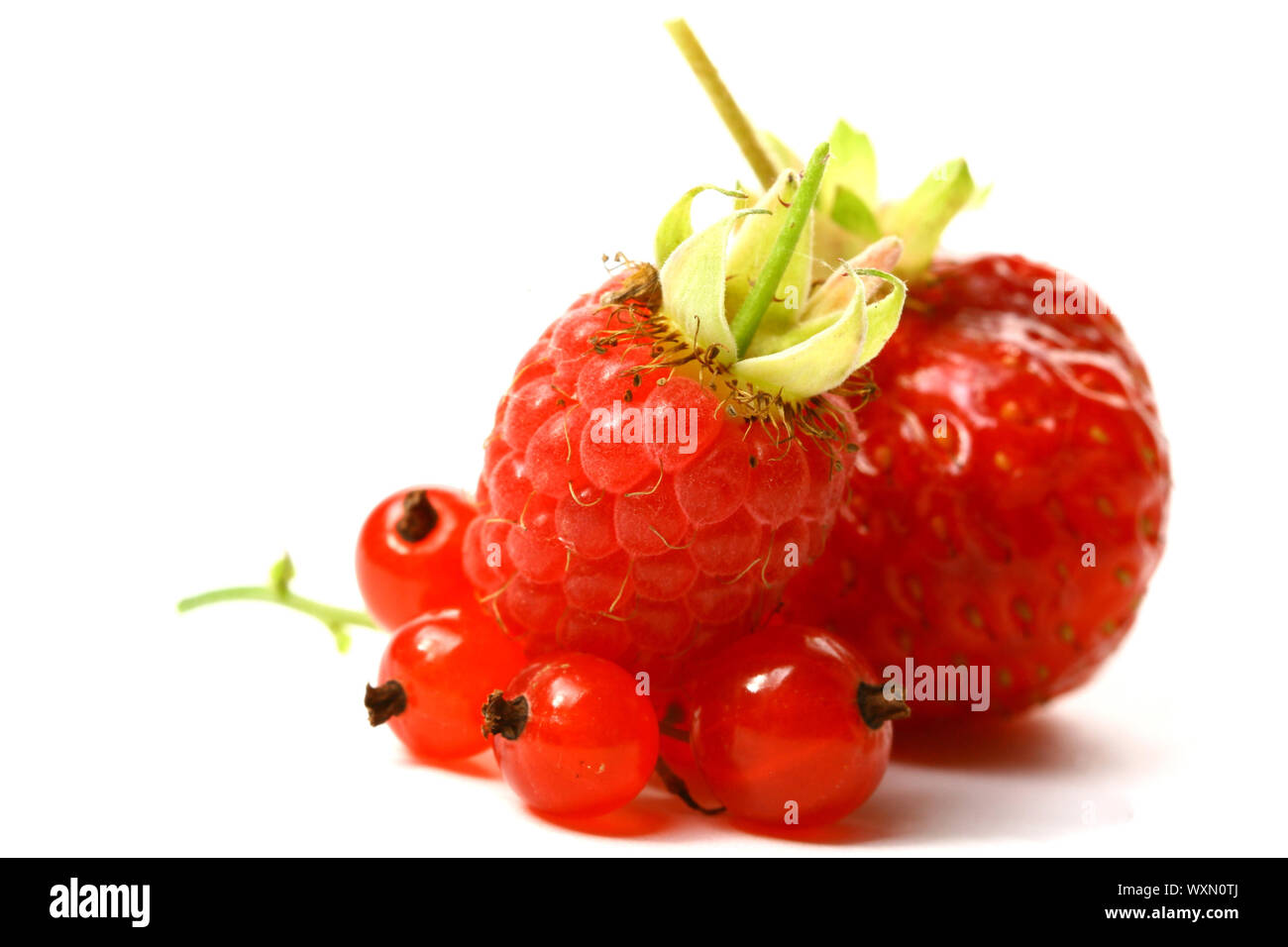 wild berry isolated on white background Stock Photo - Alamy
