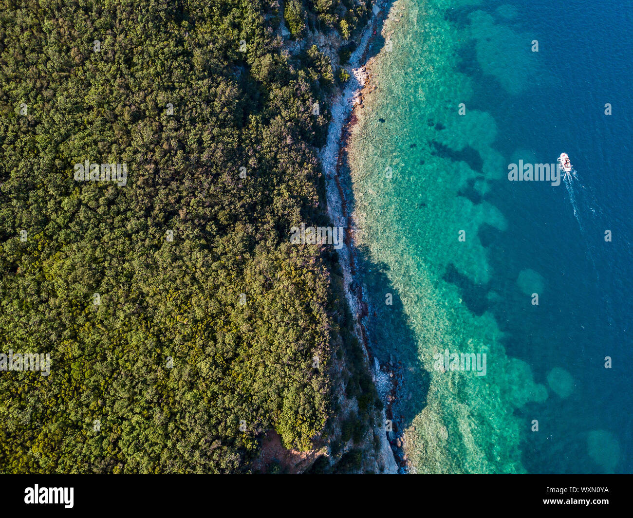 Aerial view of boats and watercraft, jagged and lush coasts ...