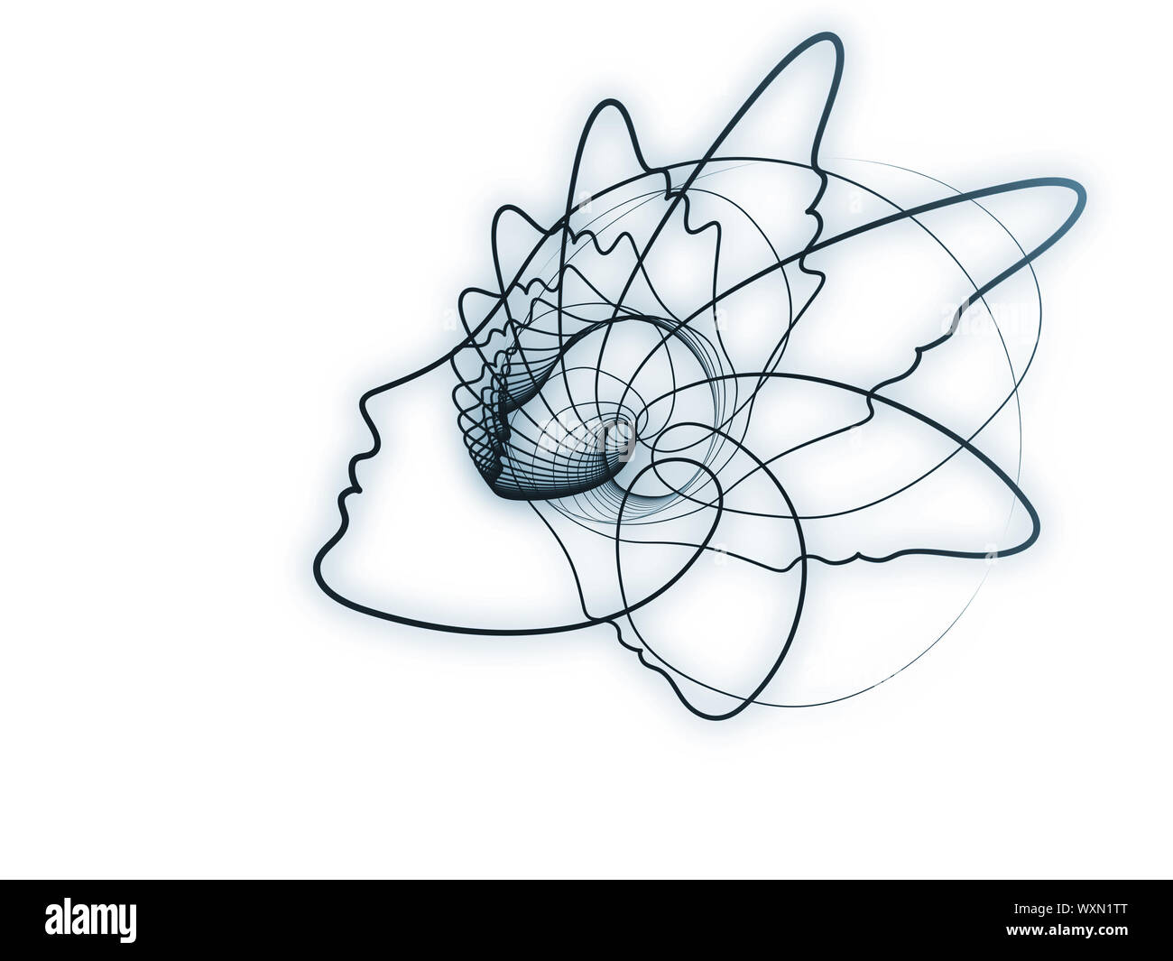 Human profile lines Cut Out Stock Images & Pictures - Alamy