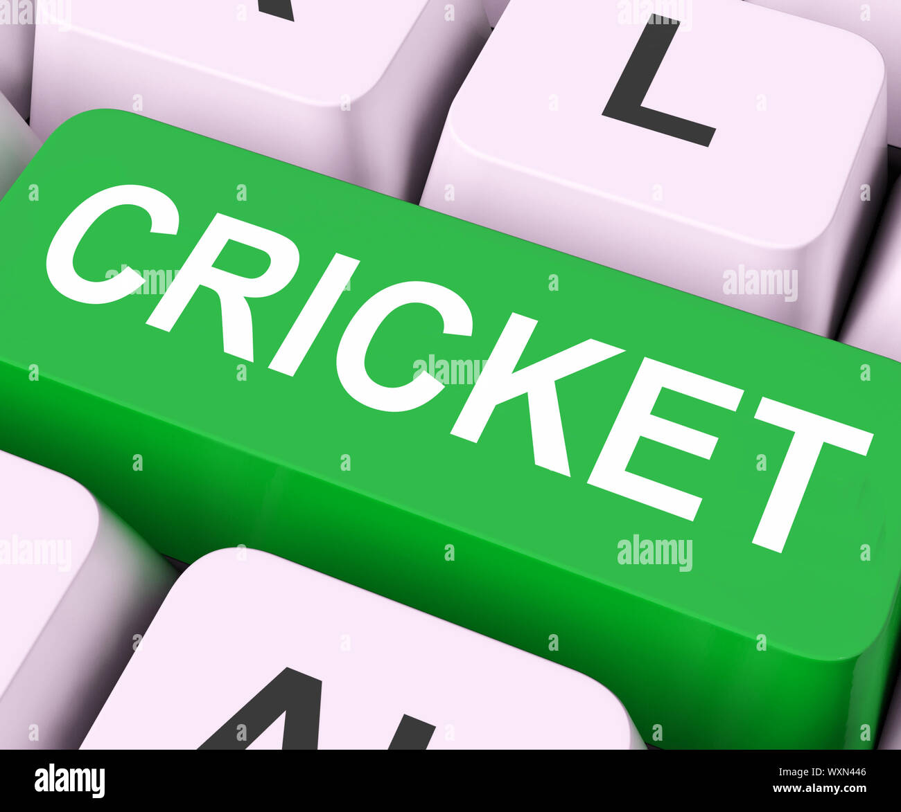 Cricket Key On Keyboard Meaning Sport Or Match Stock Photo - Alamy