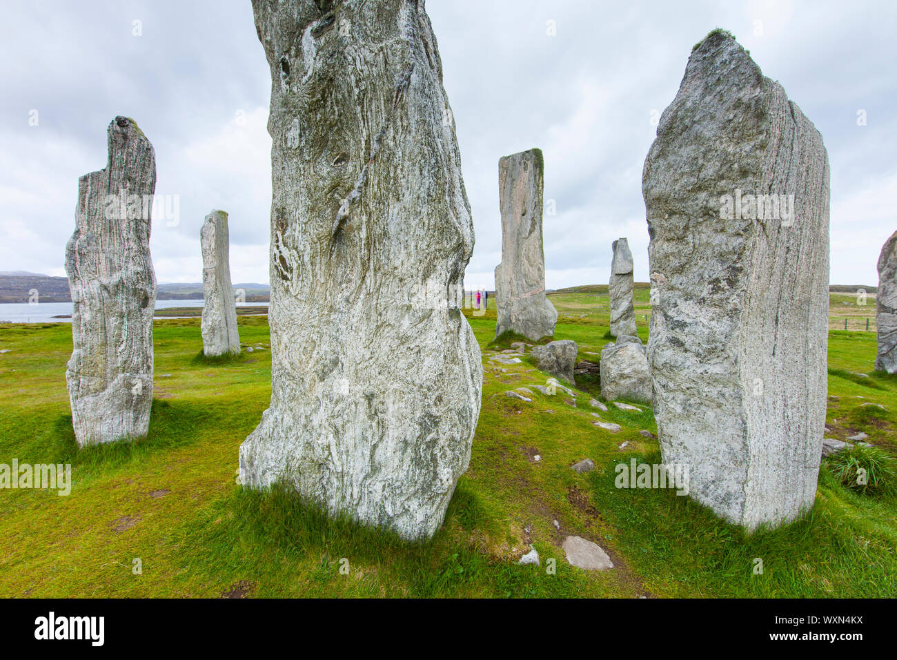 Monumento Neolítico Circulo de Calanais (Ring of Calanais). Isla Lewis ...