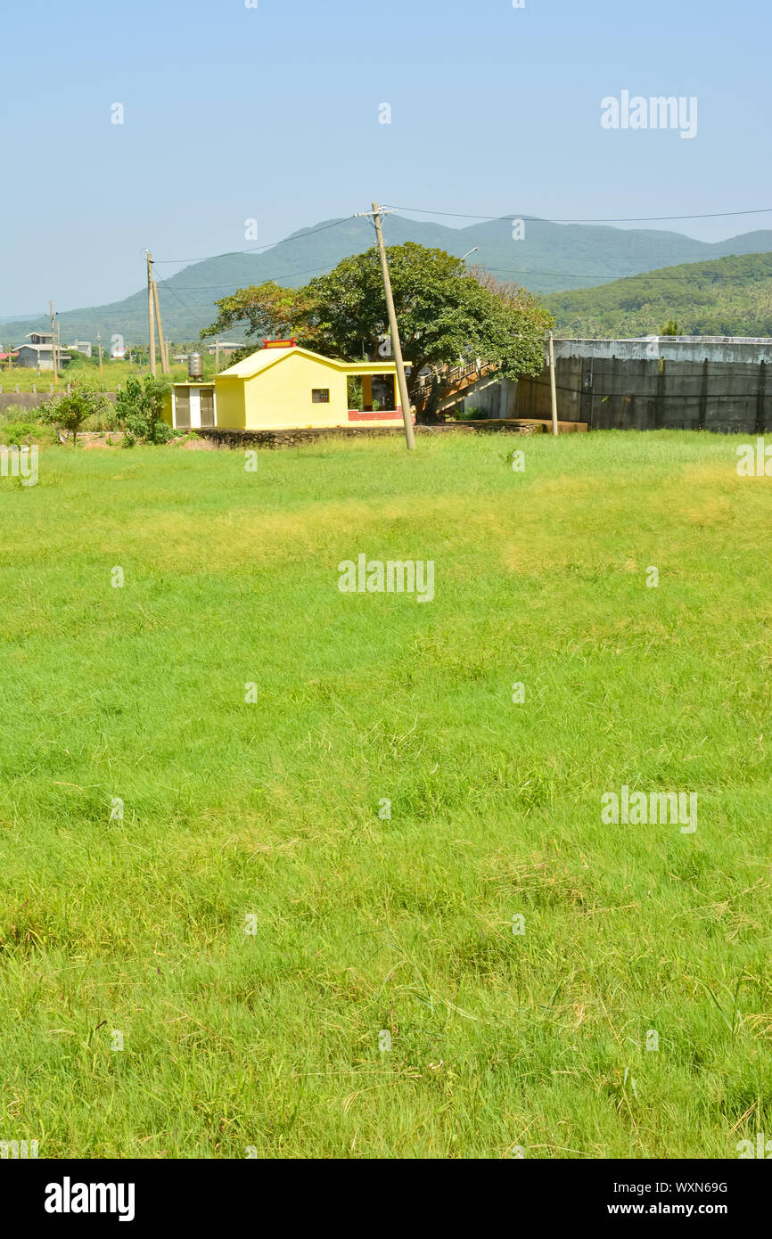 Landscape with green grassland or meadow Stock Photo - Alamy