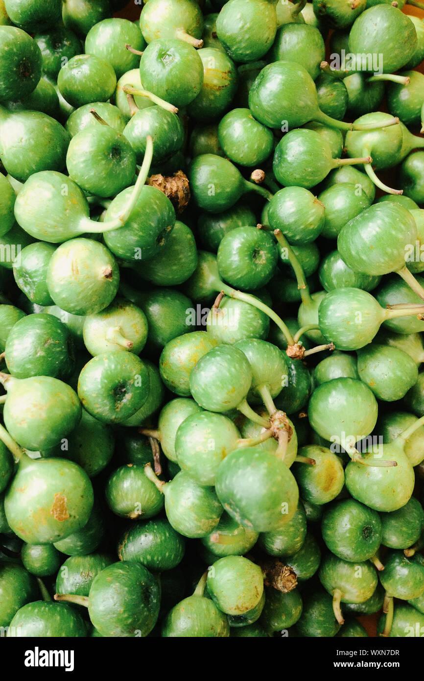 Turkey berry hi-res stock photography and images - Alamy