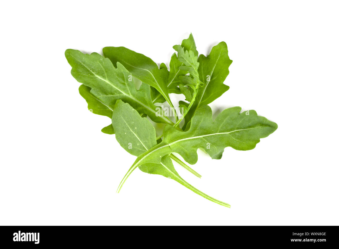 fresh rucola leaves isolated on white background Stock Photo - Alamy