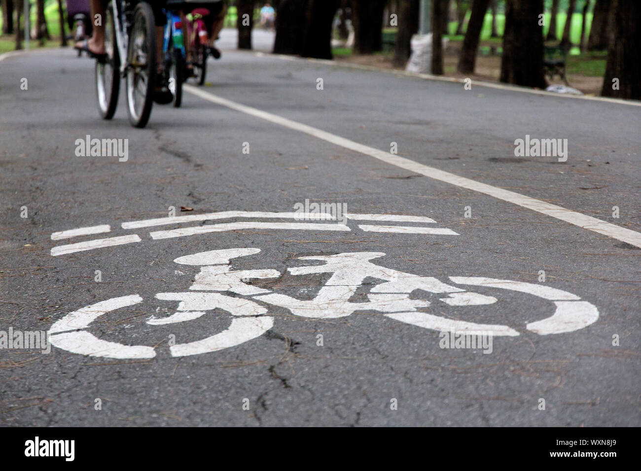 Empty cyclist lane hi-res stock photography and images - Alamy