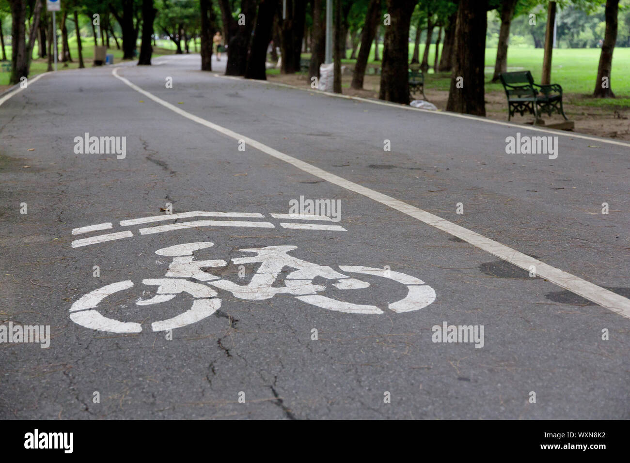 Empty cycle lane hi-res stock photography and images - Alamy