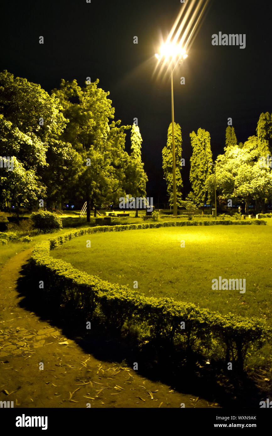 Greenery at night hi-res stock photography and images - Alamy