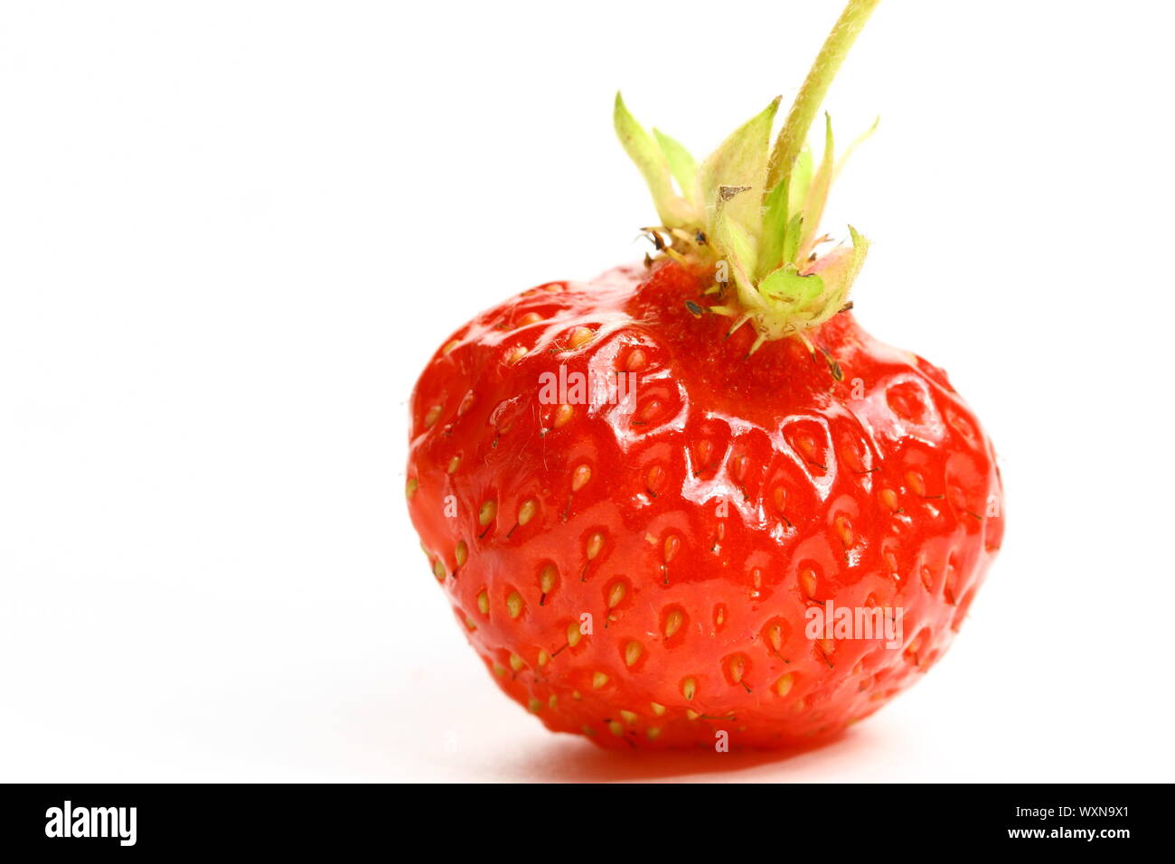 strawberry isolated on white background Stock Photo - Alamy