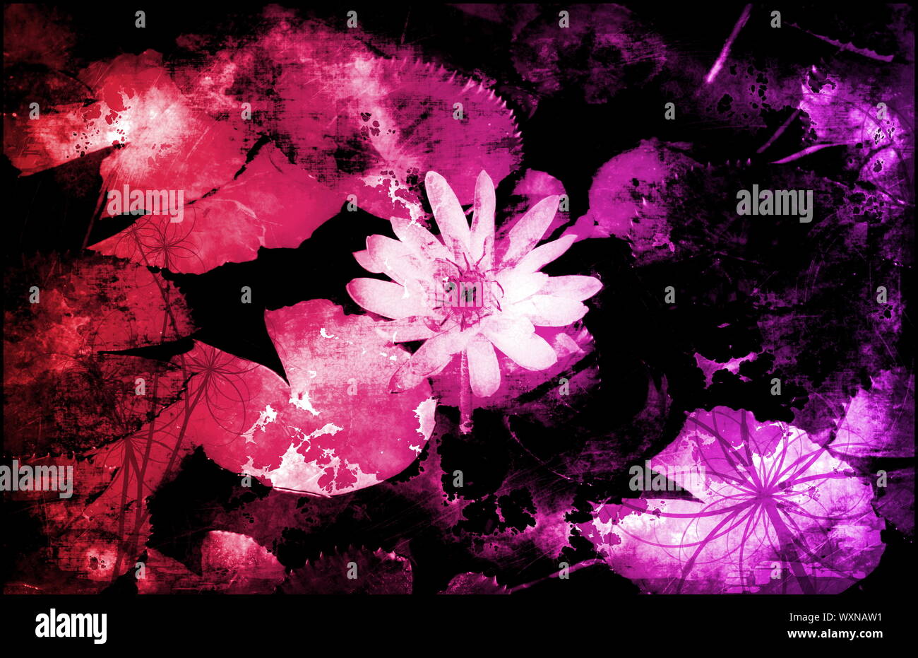 Soothing Zen Abstract as a Nature Background Stock Photo - Alamy