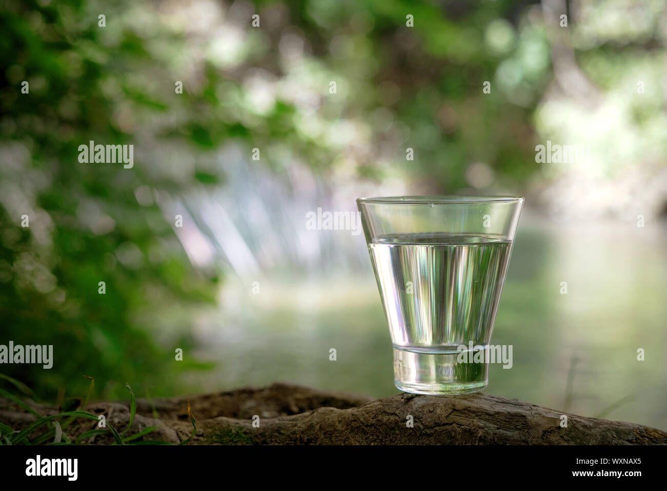 A glass of clean water, on the nature in the forest and river. Concept ...