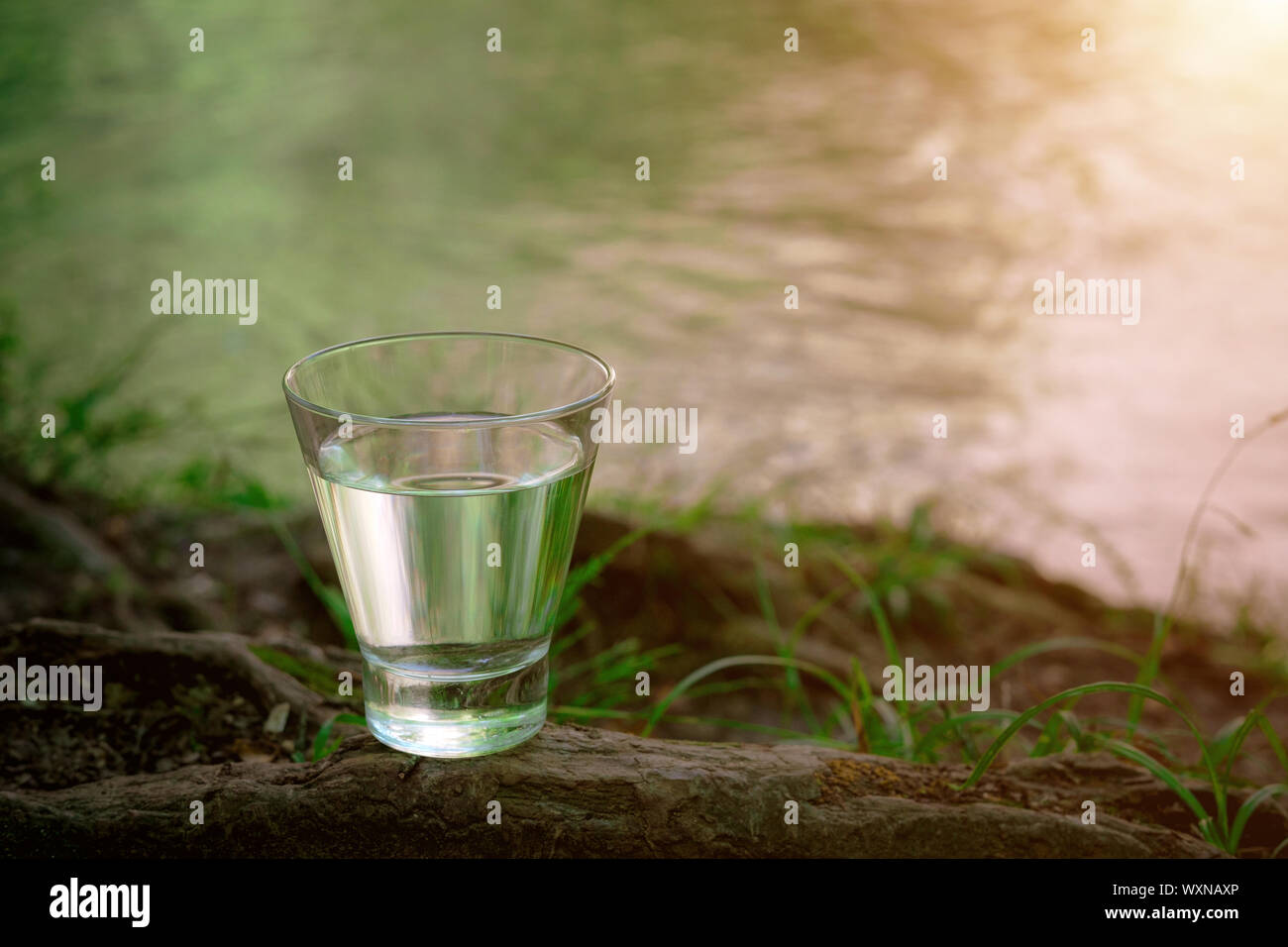 A glass of clean water, on the nature in the forest and river. Concept ...