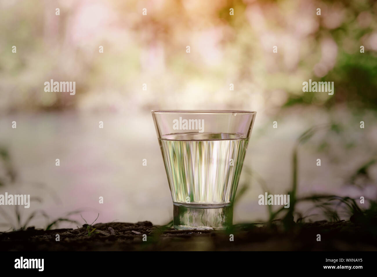 A glass of clean water, on the nature in the forest and river. Concept ...