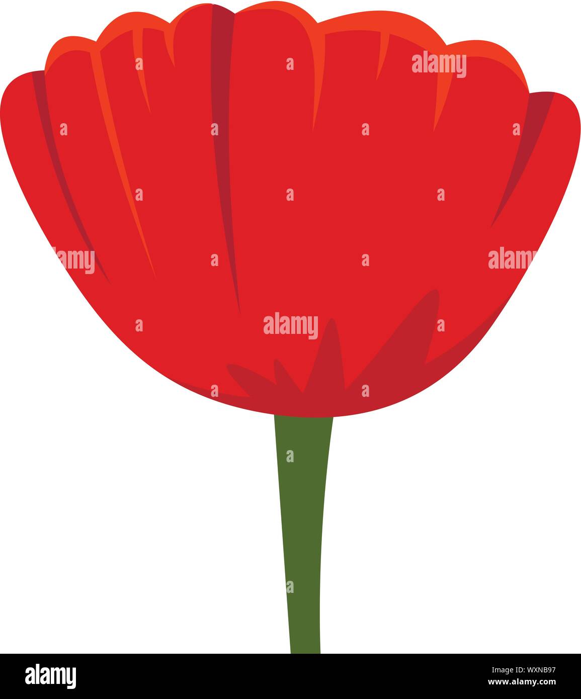 Beauty poppy flower icon. Flat illustration of beauty poppy flower ...