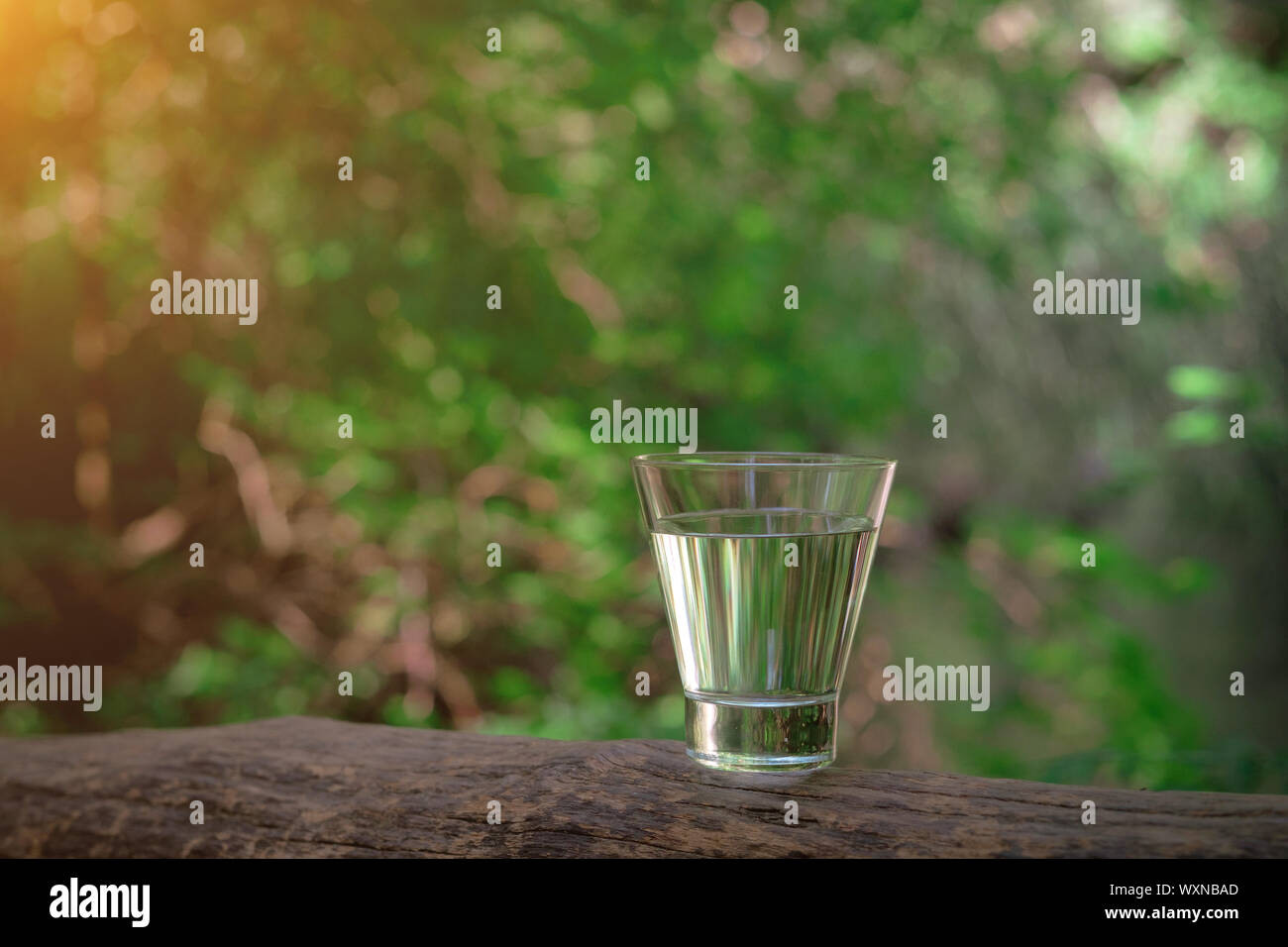 A glass of clean water, on the nature in the forest and river. Concept ...