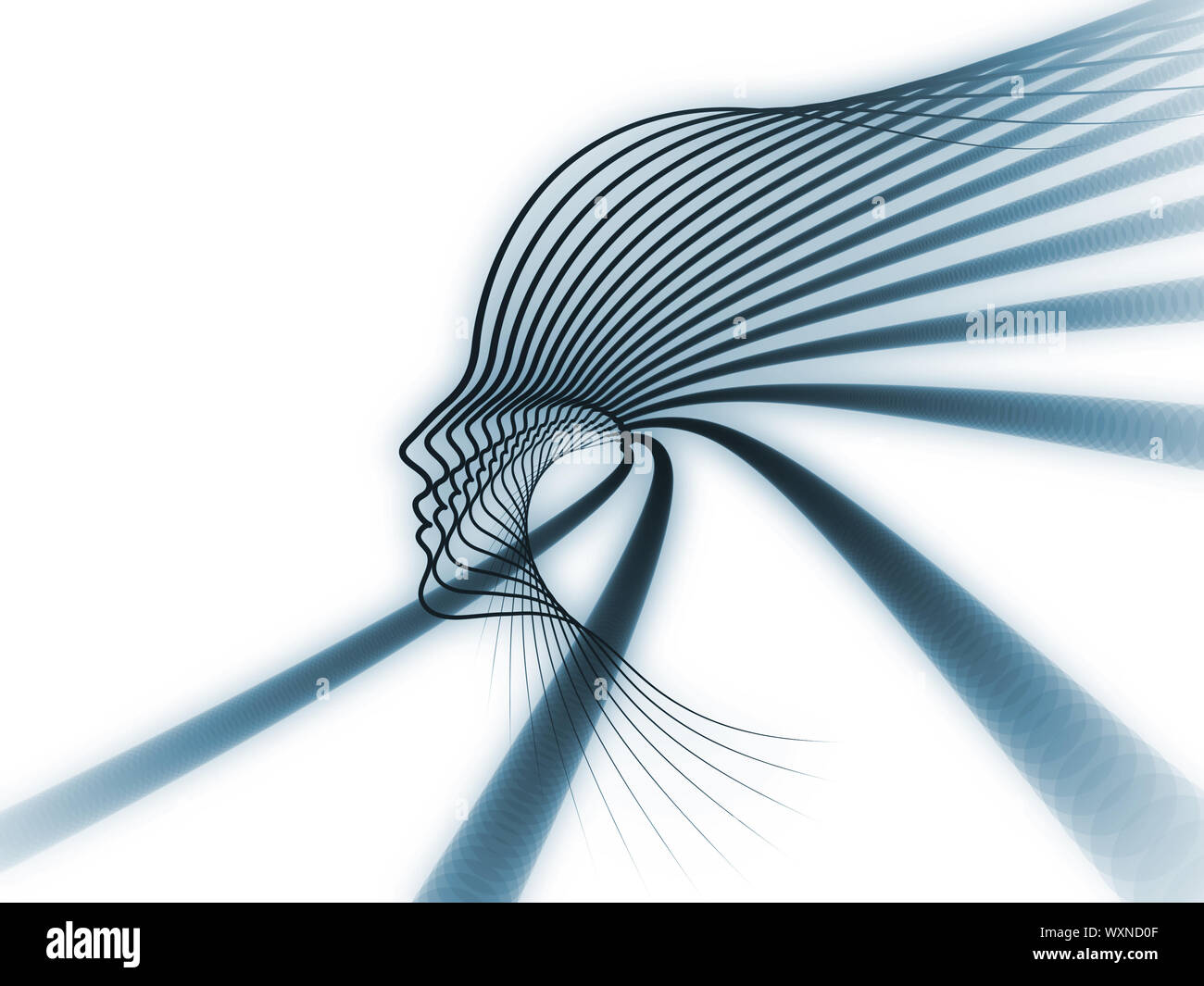 Geometry of Soul series. Arrangement of profile lines of human head on ...