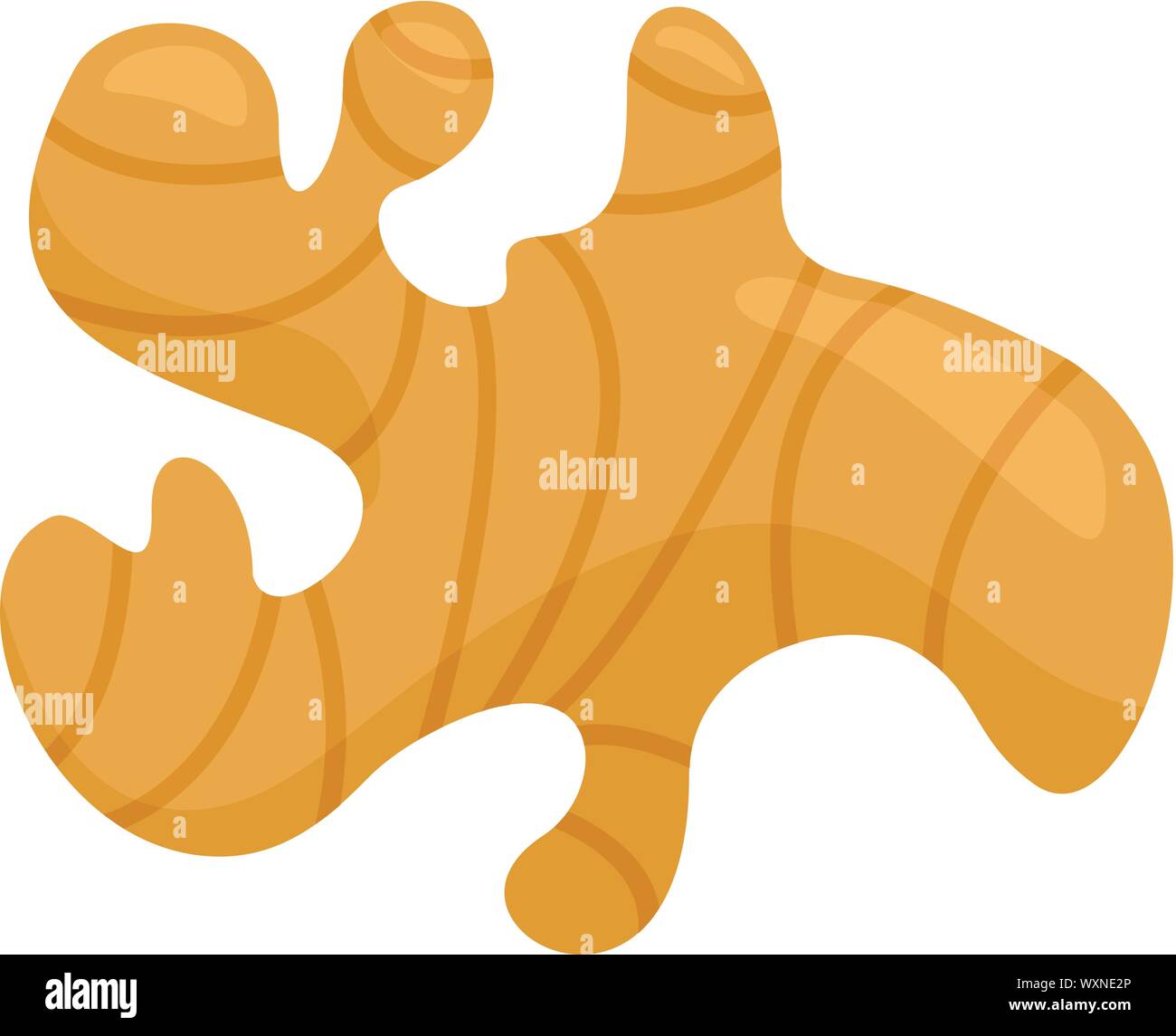 Ginger icon. Flat illustration of ginger vector icon for web design ... Ginger icon. Flat illustration of ginger vector icon for web design ...