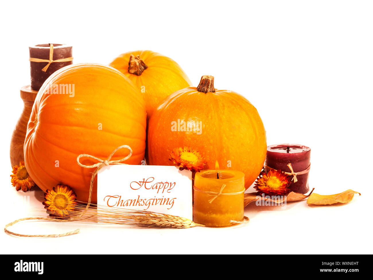 Thanksgiving holiday pumpkin border Cut Out Stock Images & Pictures - Alamy
