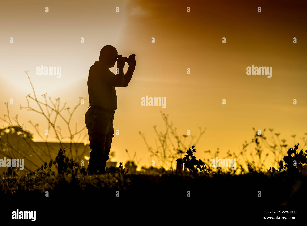Silhouette of a standing photographer in a landscape at sunset Stock ...