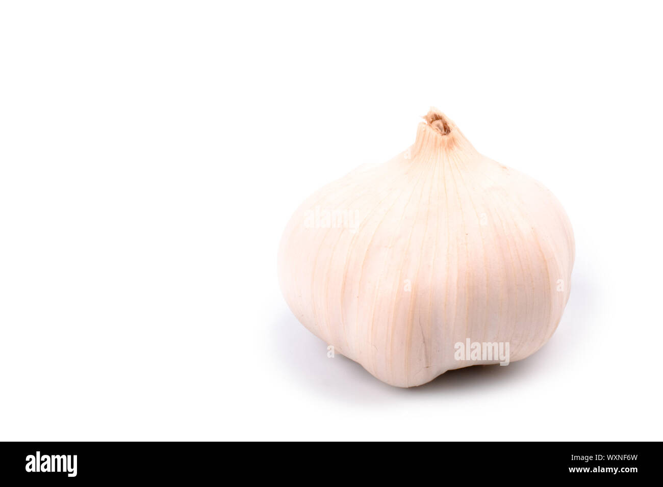 single garlic isolated on white background Stock Photo - Alamy