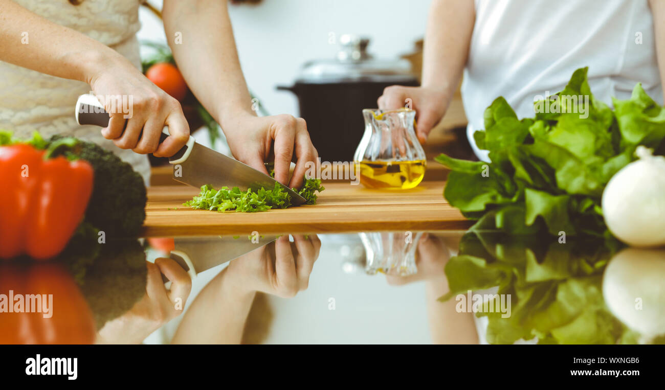 Closeup of human hands cooking in kitchen. Mother and daughter or two ...