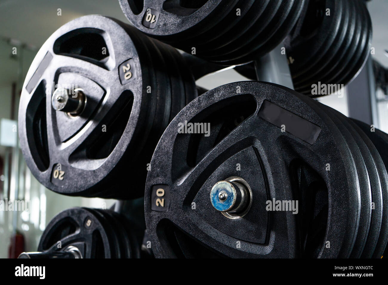 Modern light gym. Sports equipment in gym. Barbells of different weight ...