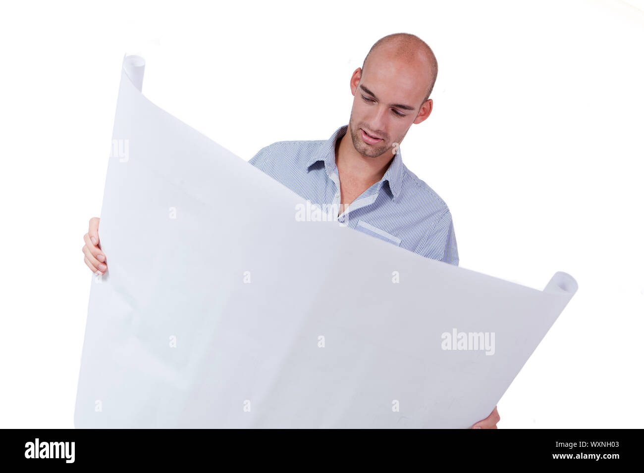 young adult businessman architect with blueprint portrait isolated ...