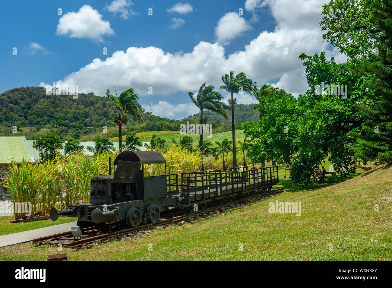 Sugarcane railway hi-res stock photography and images - Alamy