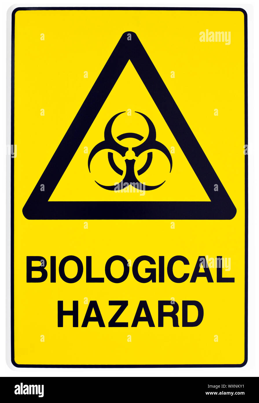 A yellow biological warning sign with clipping path Stock Photo - Alamy