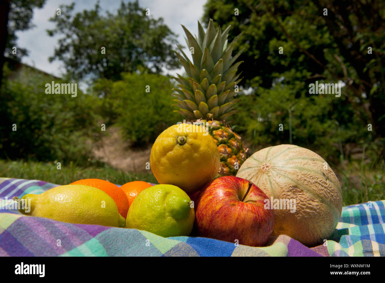 Fresh summer fruit outdoor for the picnick Stock Photo - Alamy