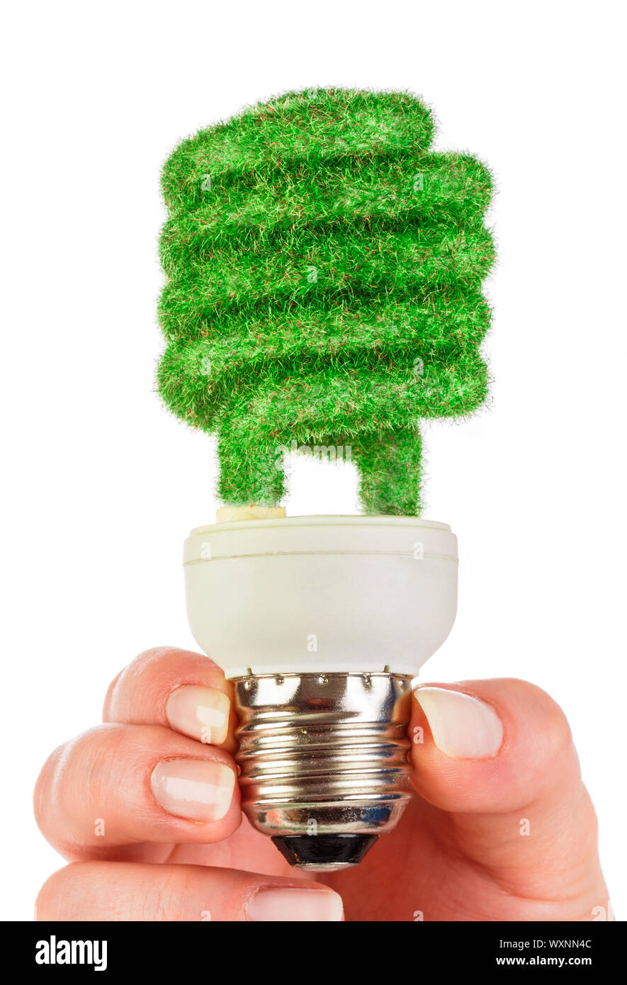 Eco light bulb in hand isolated on white background Stock Photo - Alamy