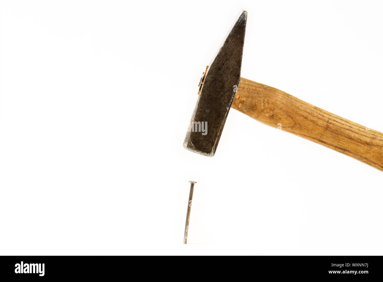 one hammer hits nail on white background Stock Photo - Alamy