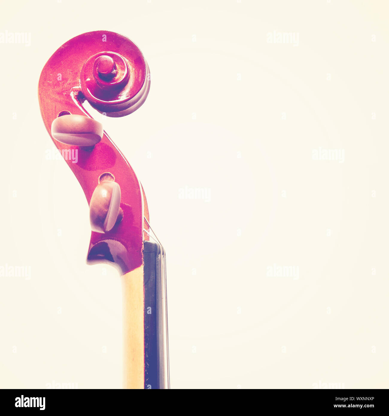 Violin headstock hi-res stock photography and images - Alamy