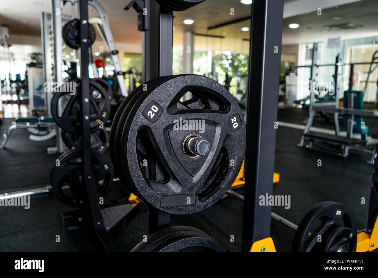 Modern light gym. Sports equipment in gym. Barbells of different weight ...
