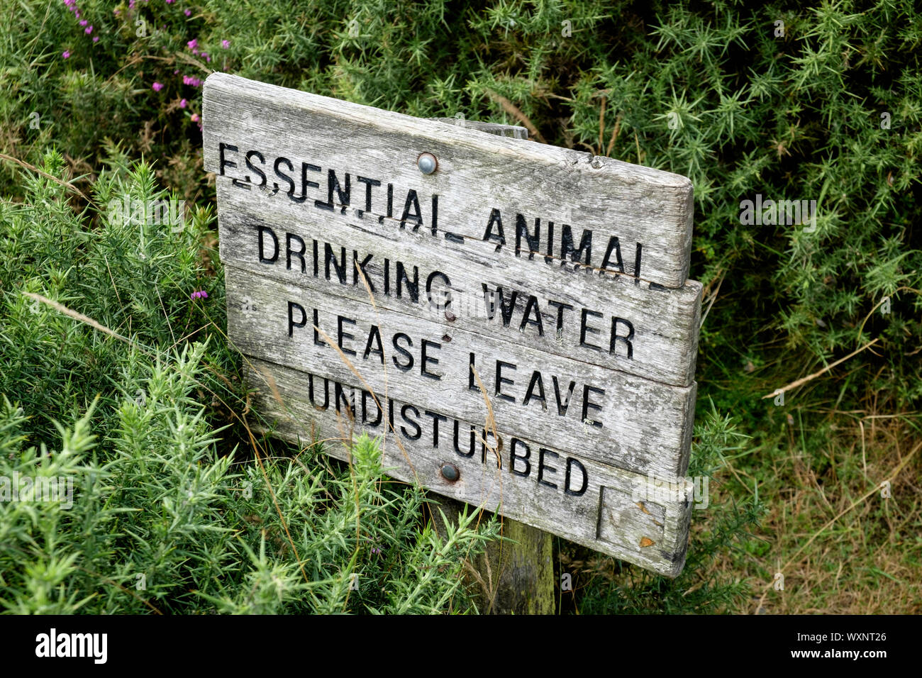 Essential Animal Drinking Water please leave undisturbed sign on ...