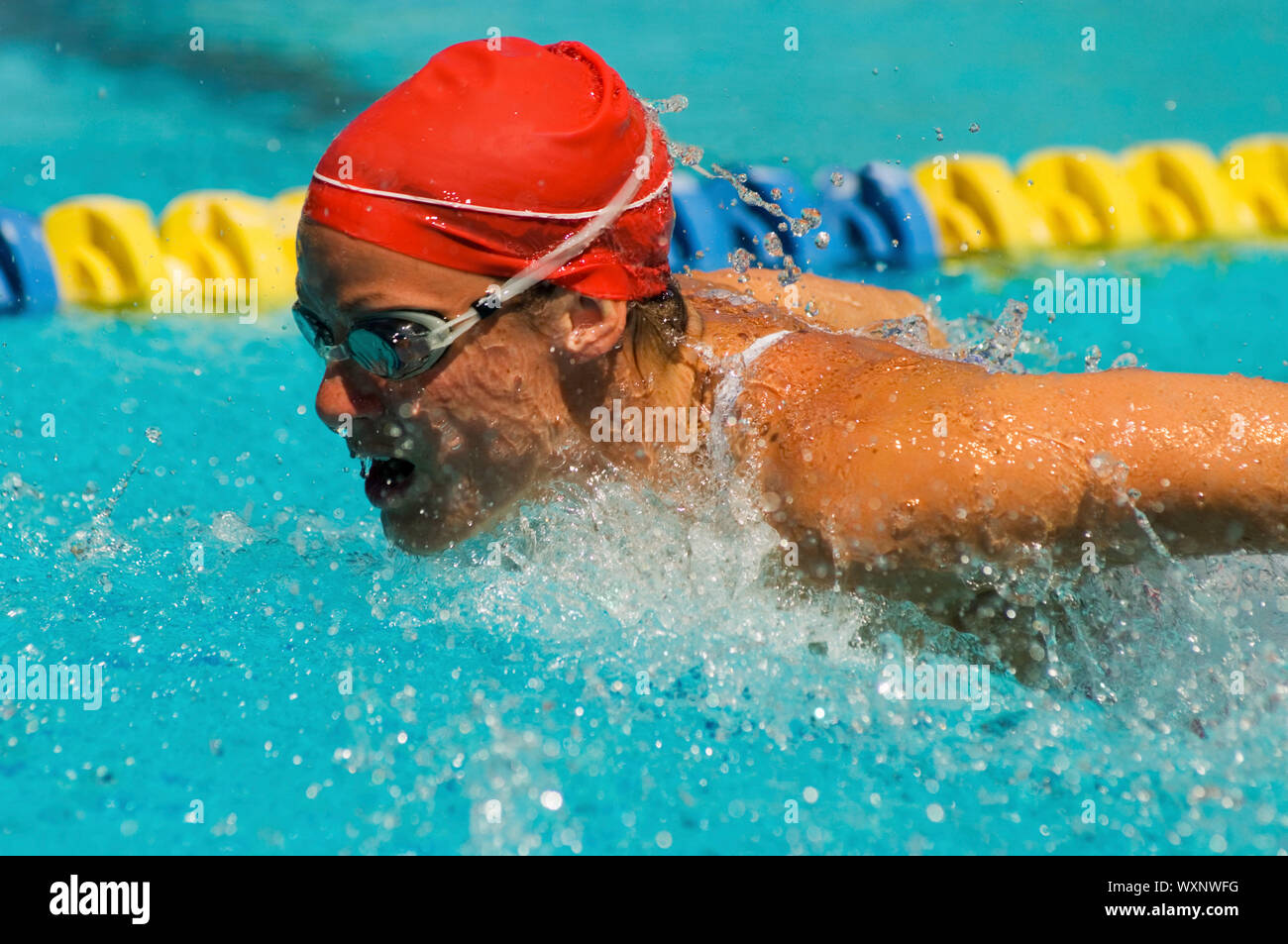 Woman Swimming Laps Stock Photo - Alamy