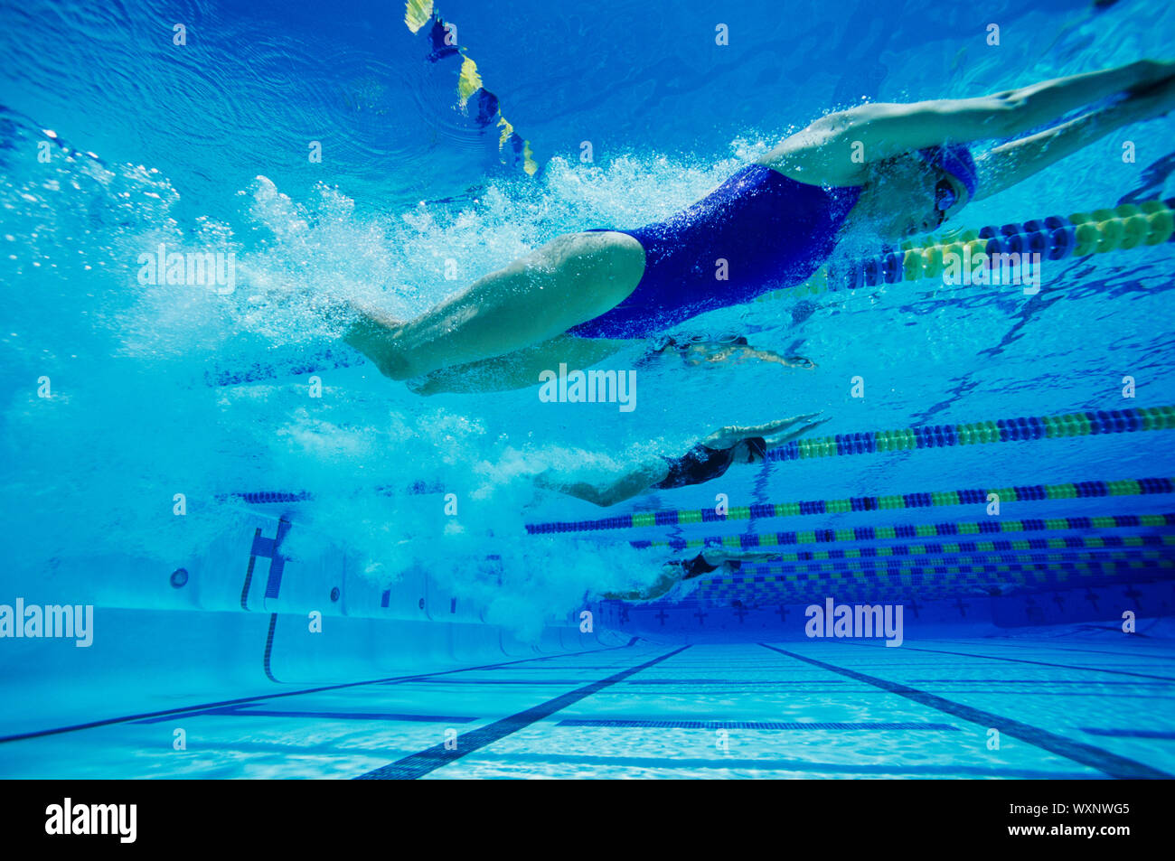 Underwater swimmers race hi-res stock photography and images - Alamy