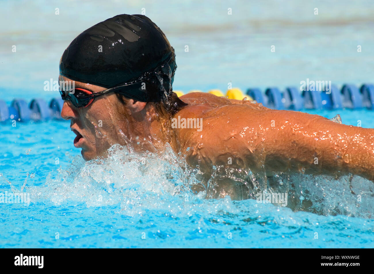 Swimmers competitive practice hi-res stock photography and images - Alamy