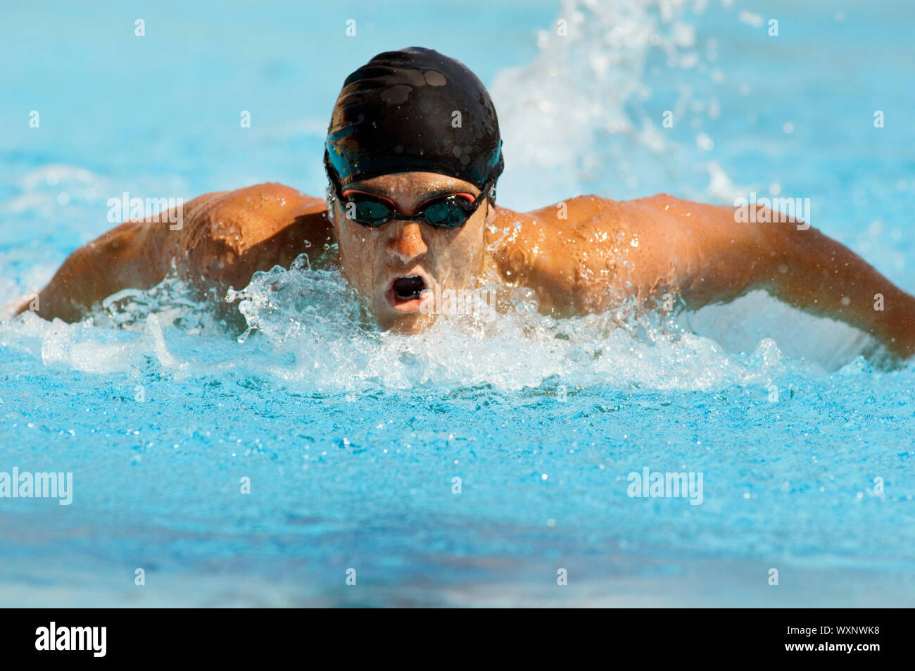 Swimmers competitive practice hi-res stock photography and images - Alamy