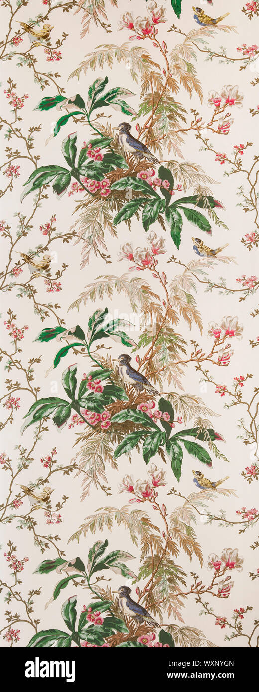 An image of an old bird wallpaper Stock Photo - Alamy