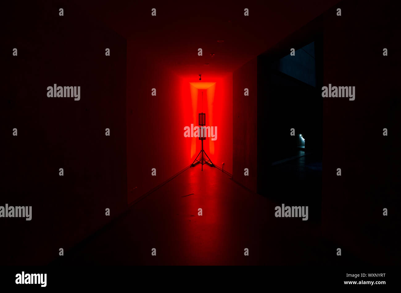 A glowing light installation in one of the galleries at the Jewish ...