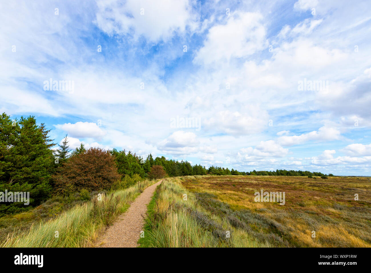 Heath landscape on the North Sea island of Rømø, Denmark Stock Photo ...