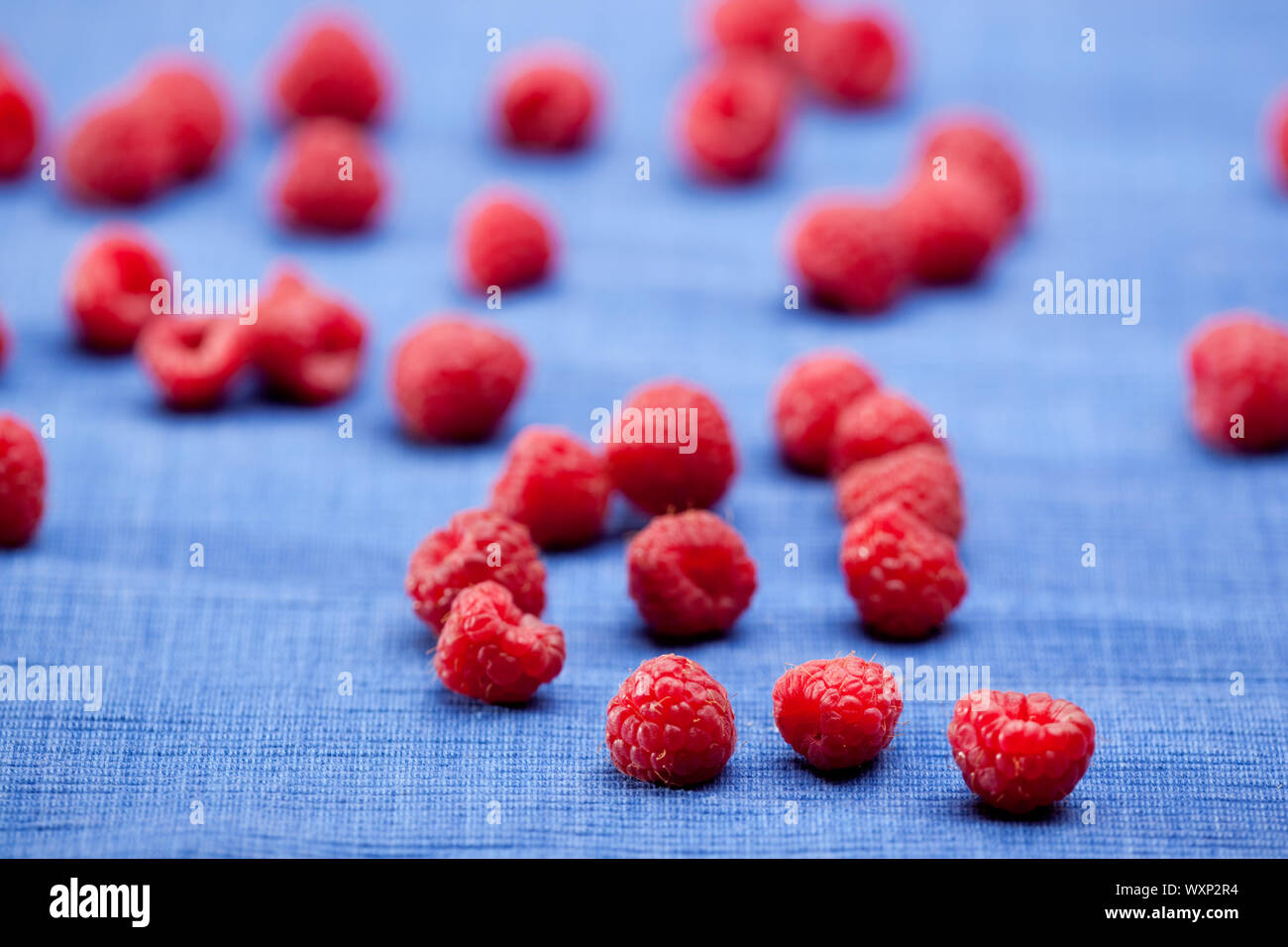 Blue raspberries hi-res stock photography and images - Alamy