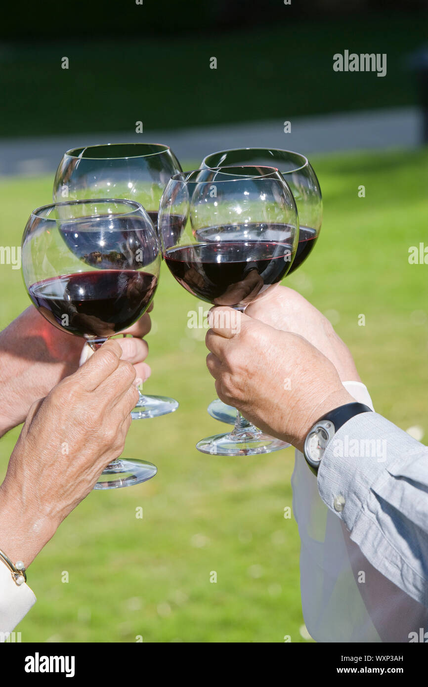 Four people raising toast Stock Photo - Alamy