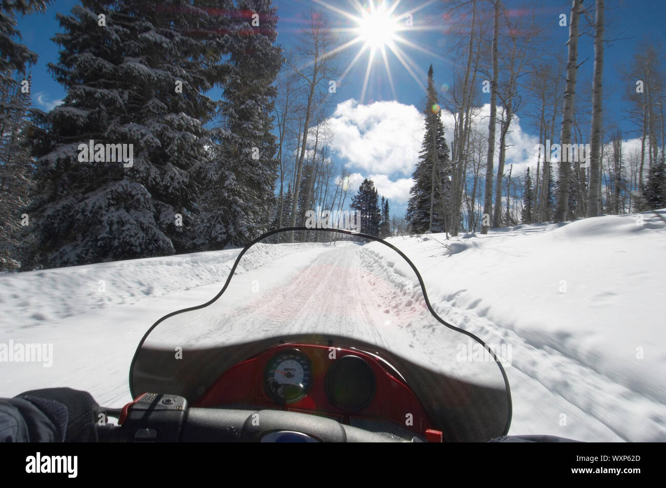 Driving a Snowmobile Stock Photo - Alamy